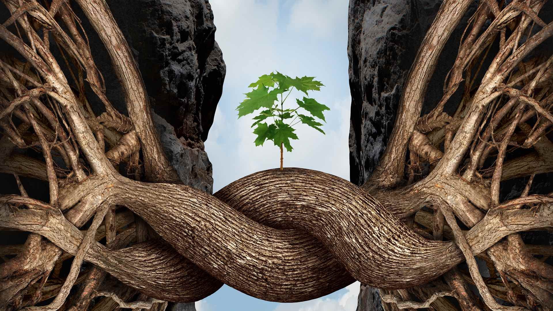 Fuseren of samenwerken: De fusie - stichting.nl